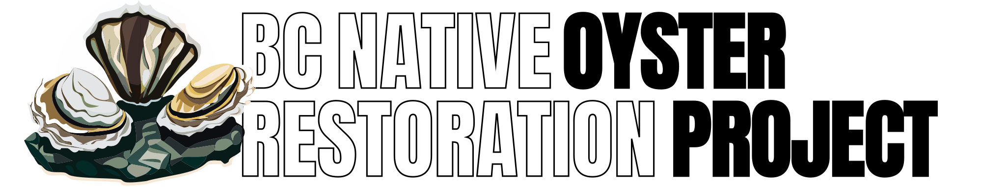 The Project – BC Native Oyster Restoration Project